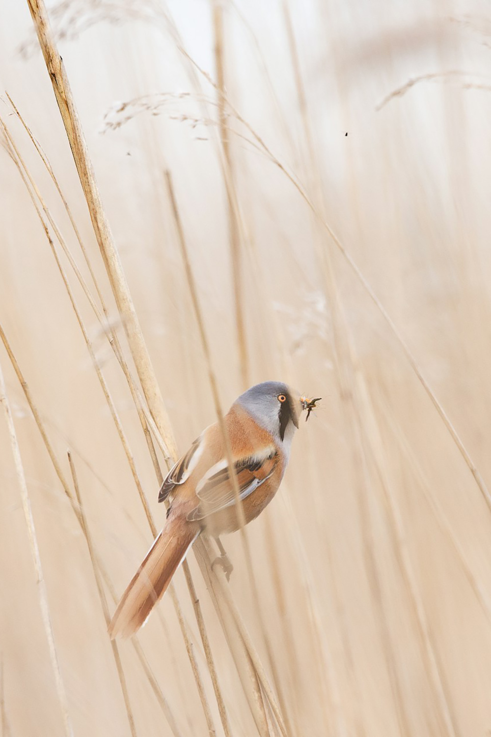 New Broads’ event series announced - get ready for the great outdoors