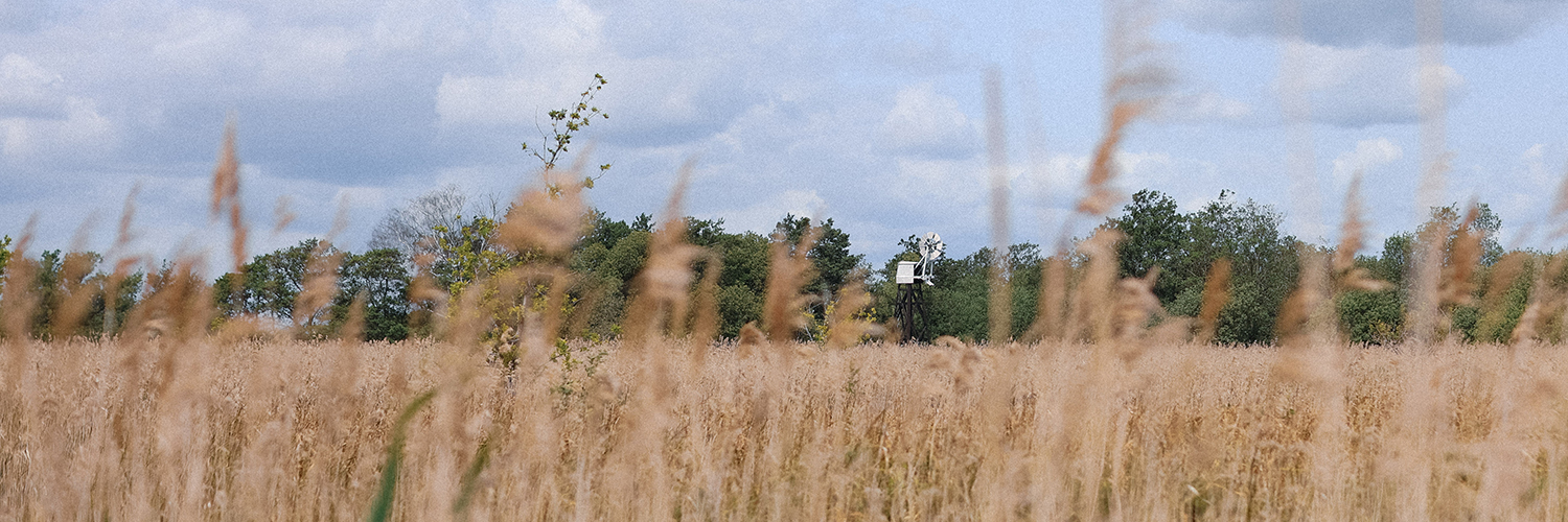 Broads Peat Partnership